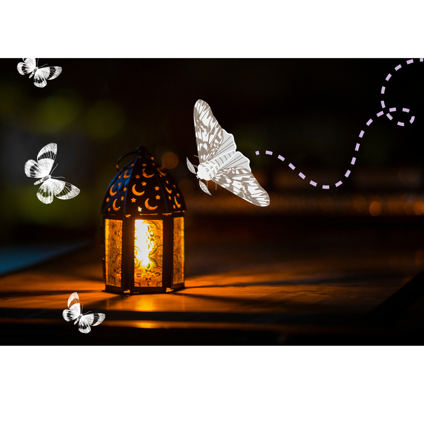 Paper Doom Flies Again – Bridget Herbig